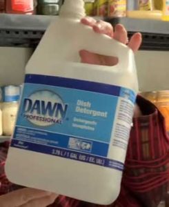 Dawn Professional Vs. Dawn Original Dish Soap (2024)